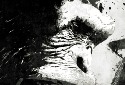 Crisis on the Planet of the Apes VR Announced for PSVR, Oculus Rift ...