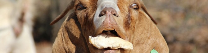 Goat Simulator and I Am Bread Developers Team Up to Bring You GoatBread DLC