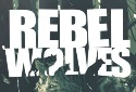 NetEase Games Invests in Polish Studio Rebel Wolves