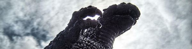 TGS '14 - Run! It's Godzilla!